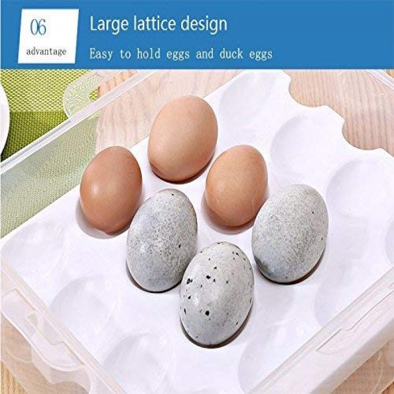 Egg Box 32 Grid Large - Plastic Egg Storage Box - NY-Store